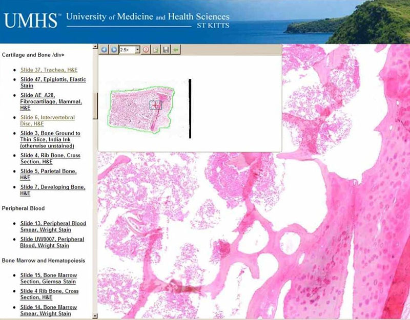 Bacus Virtual Microscope: Histology Image Bank