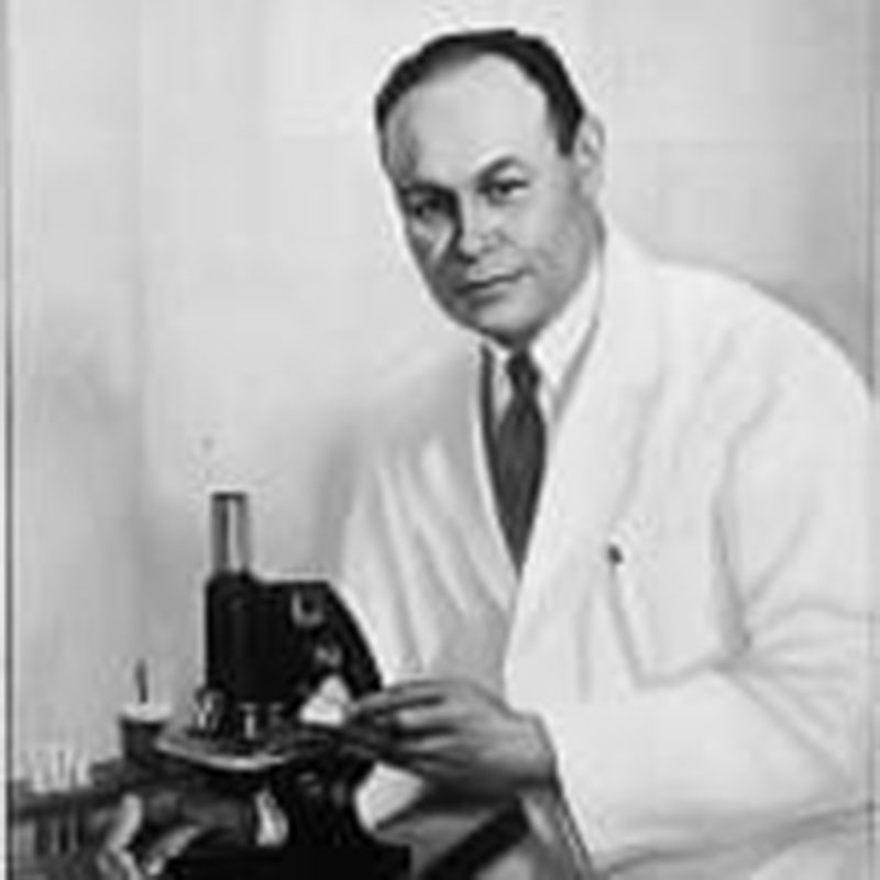 A History of African Americans in Medicine