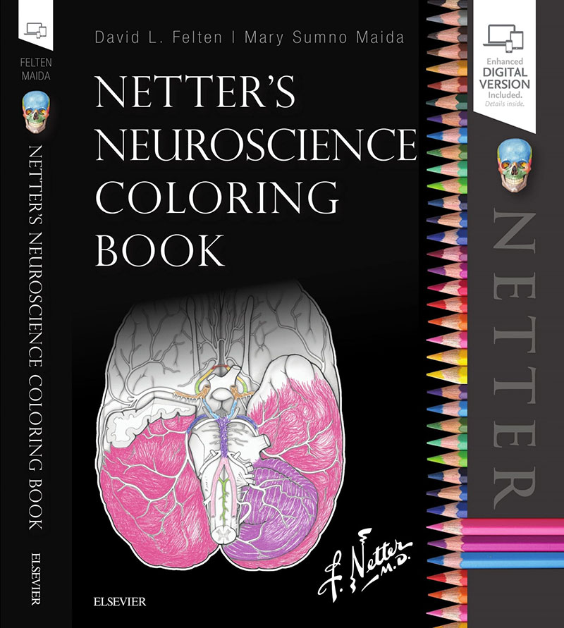 Interview with Dr. David Felten of UMHS About Netter’s Neuroscience ...