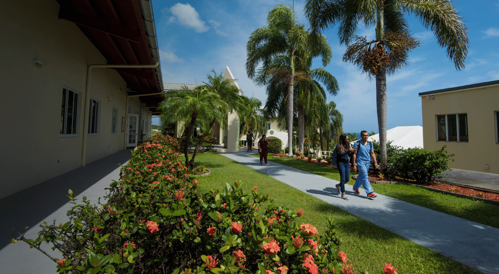 UMHS | University of Medicine and Health Sciences in St. Kitts