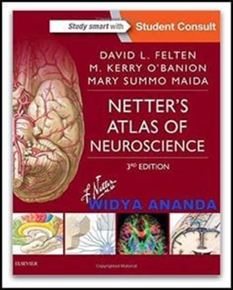 Q & A with Neuroscientist Dr. David L. Felten, New UMHS Associate Dean ...
