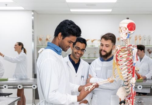 Pre med post bacc program | Is a post-baccalaureate pre-medical program right for you?