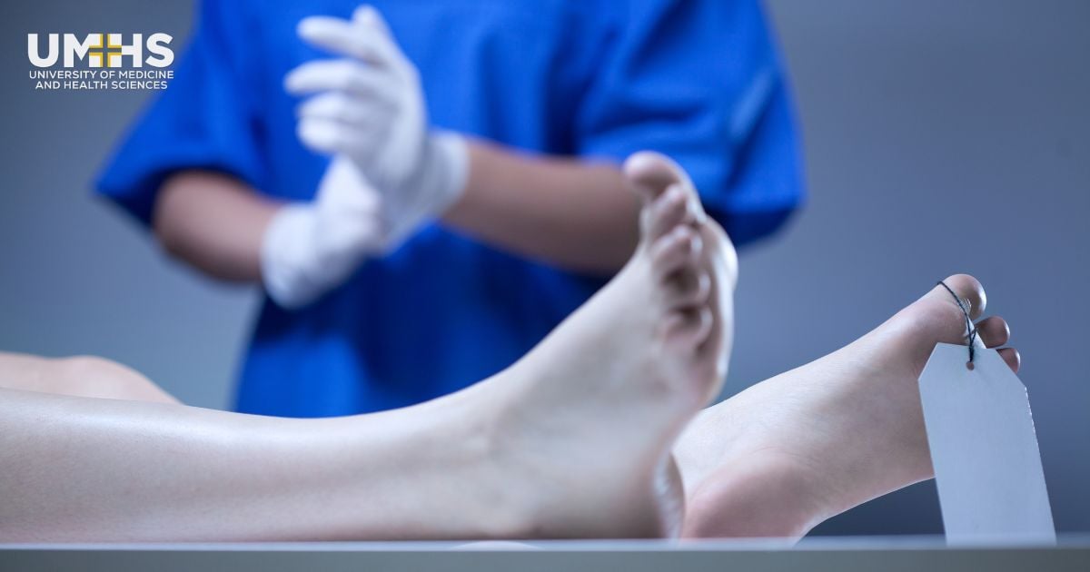 How to become a Forensic Pathologist? – The education, career, and job ...