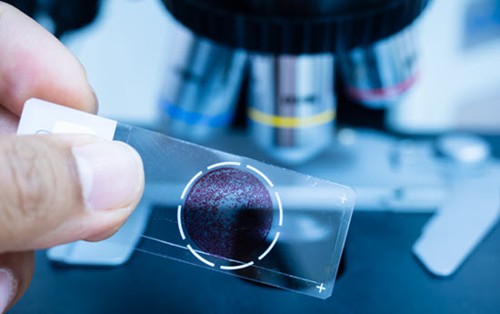 How to become a Pathologist? - 6 steps from high school to licensing in ...