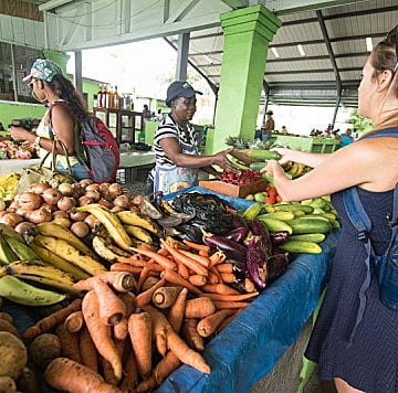 What does DO stand for? Understanding MDs and DOs and Osteopathic medicine