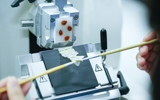 How to become a Pathologist? - 6 steps from high school to licensing in ...