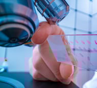 How to become a Pathologist? - 6 steps from high school to licensing in ...