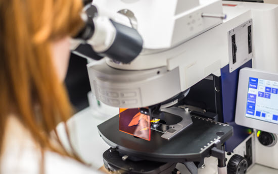 How to become a Pathologist? - 6 steps from high school to licensing in ...