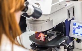 How to become a Pathologist? - 6 steps from high school to licensing in ...