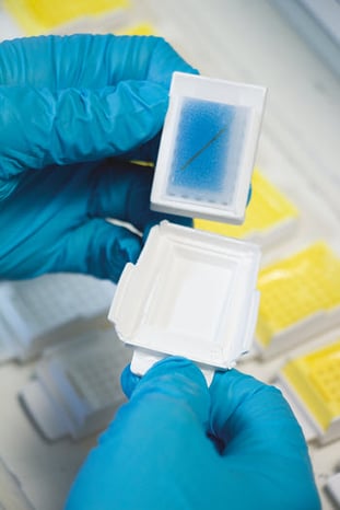 What Is A Pathologist And What Does A Pathologist Do? - A Guide To ...