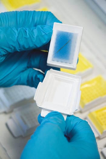 What Is A Pathologist And What Does A Pathologist Do? - A Guide To ...