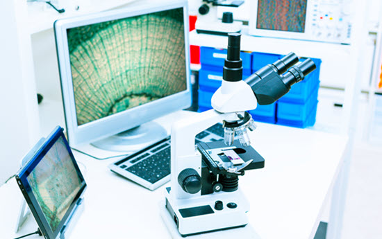 How to become a Pathologist? - 6 steps from high school to licensing in ...