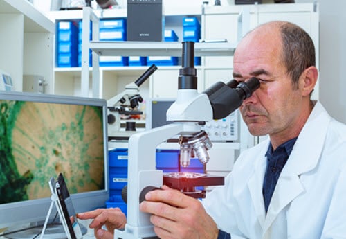 What Is A Pathologist And What Does A Pathologist Do? - A Guide To ...
