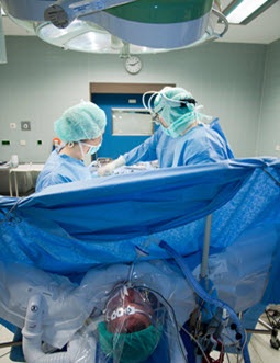 How to become a Urologist? - A step by step guide to becoming licensed ...